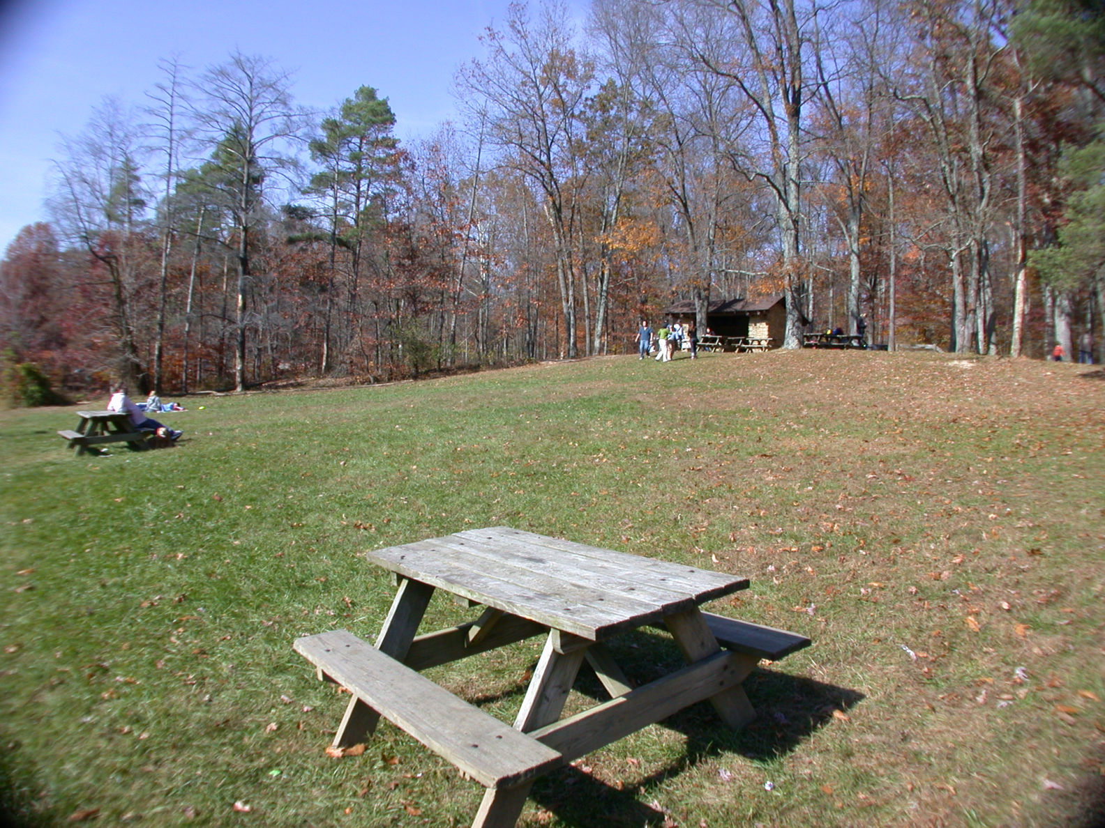 Picnic Areas and Shelter Houses - Brown County State Park, Indiana